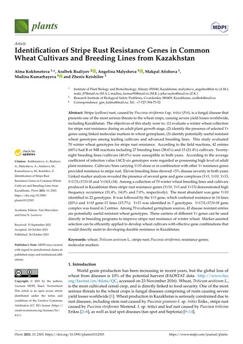 Pdf Identification Of Stripe Rust Resistance Genes In Common Wheat Cultivars And Breeding