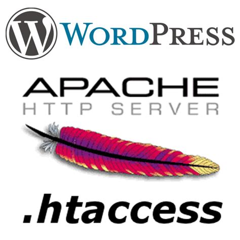 WordPress Htaccess Basics For Beginners Learn How To Use Htaccess