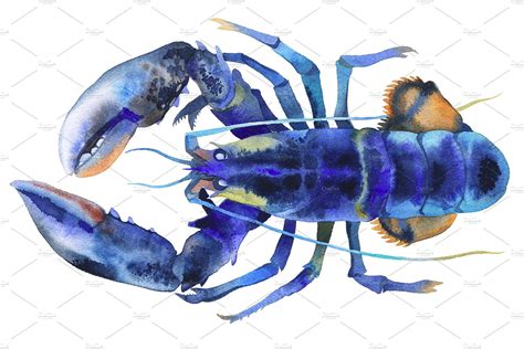 Blue Lobster Watercolor Illustration Watercolor Illustration