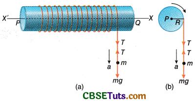 What Is The Difference Between Rotational And Linear Motion CBSE Tuts