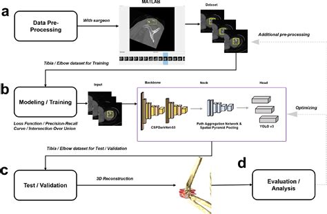 Figure 1 From Deep Learning Model Based On You Only Look Once Algorithm For Detection And
