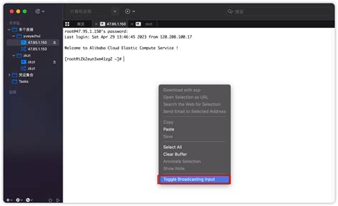 Royal Tsx 教程（macos 的 Ssh 工具）royaltsx Csdn博客