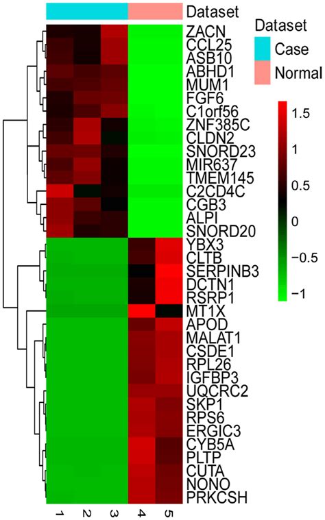 Hierarchical Clustering Analysis Based On The Expression Profile Of The