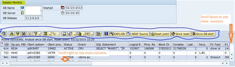 나의 스크랩북 SAP ST04 information