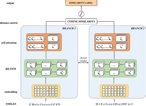 Siamese Recurrent Neural Network For Small Molecule Drug Discovery