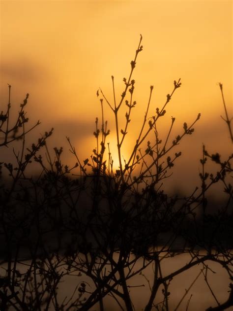 方便易用的matlab两因素重复测量方差分析函数 知乎