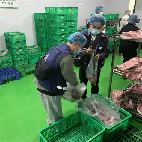 【食品安全】亮起 监管灯” 照亮 源头关”——直击学校食材配送单位夜查现场白云区校园行动