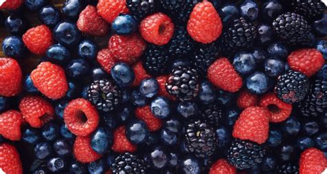 Scio Mini Handheld Nir Analyzer Scio