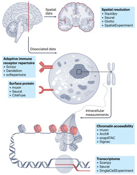 热点综述 跨模态单细胞分析的最佳实践 Sccoda Csdn博客
