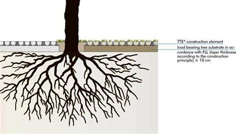 Tree Root Protection Ecogrid