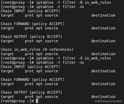 iptables用法总结1 iptables 怎么只展示input链 csdn博客
