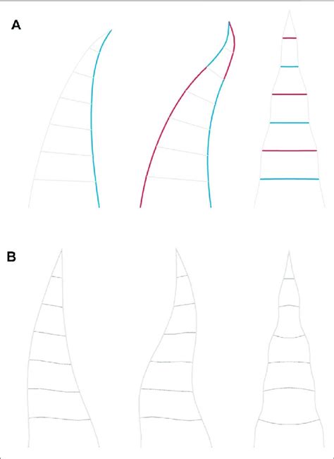 A Results Of Operator χ For Curvature Of Right Outer Chord For