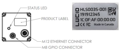 Lucid Support And Help