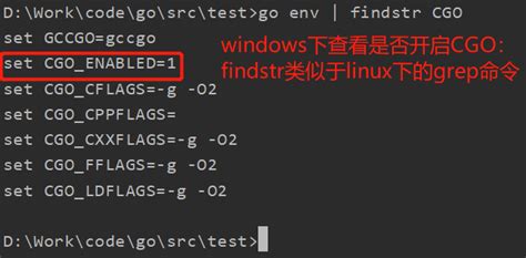 golang cgo：如何在go代码中调用c语言代码？ csdn博客