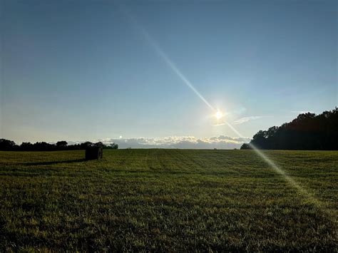 Microsoft Wallpaper Grass