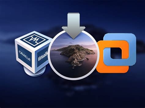 Can I Install Dmg File On Vmware Treetrain