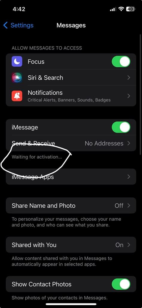 Waiting For Activation Riphone