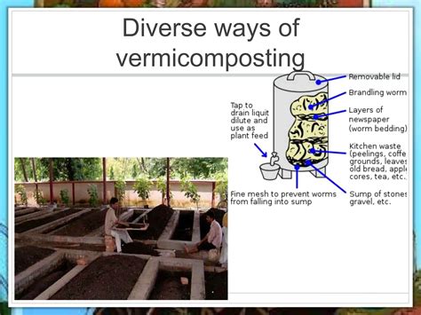 Vermicomposting Of Earthworms And The Culture Ppt
