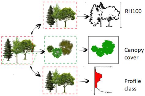 Remote Sensing Free Full Text Retrieval Of Forest Vertical Structure From Polinsar Data By