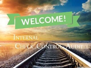 Internal Check Audit Ppt PPTX