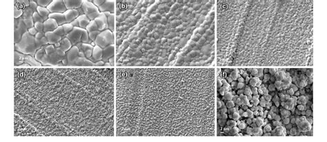 SEM Micrographs Showing Different Morphology Evolved Due To Different Download Scientific