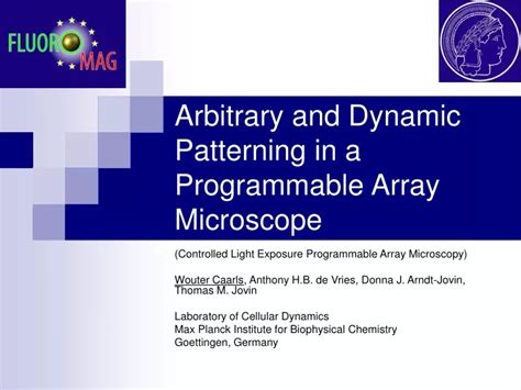 Ppt Arbitrary And Dynamic Patterning In A Programmable Array