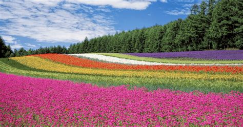 Microservices Architecture For Ecommerce With Examples