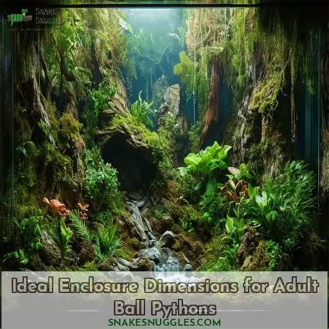 Buyers Guide Best Enclosures For Ball Pythons Comprehensive Terrarium