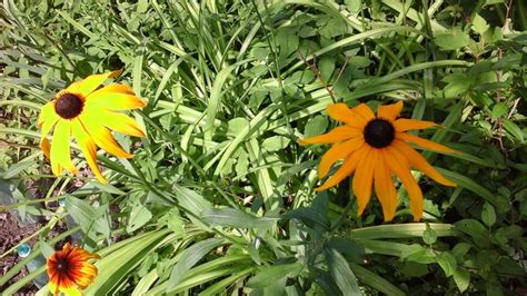 На солнце и в тени Фото Дом Солнца