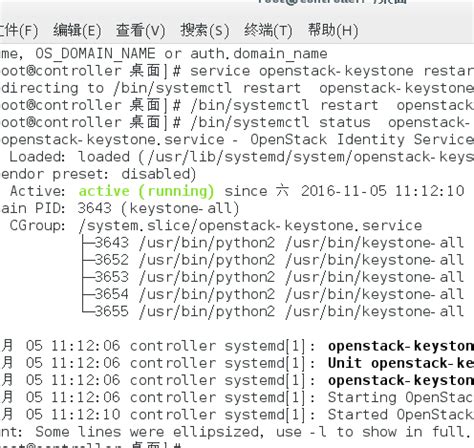 openstack keystone缺少参数真心求助新手卡了一周了 CSDN社区