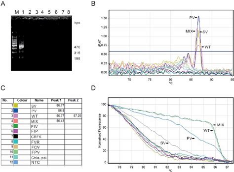 A Specificity Of Multiplex Amplification Refractory Mutation System Download Scientific