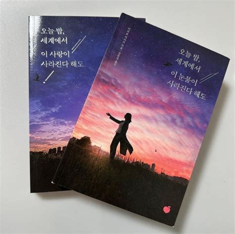 로맨스슬픈 소설책 추천 지식in