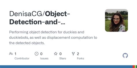 github denisacg object detection and displacement computation performing object detection for