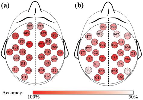 Classification Accuracies Using The Asymmetric Features Extracted From