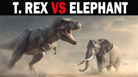 T Rex Vs African Elephant Who Would Win In A Real Fight Youtube