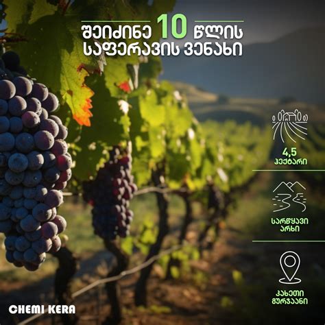 🍇 აიხდინე დიდი ხნის ოცნება და ჩემი კერა • Chemi Kera Facebook