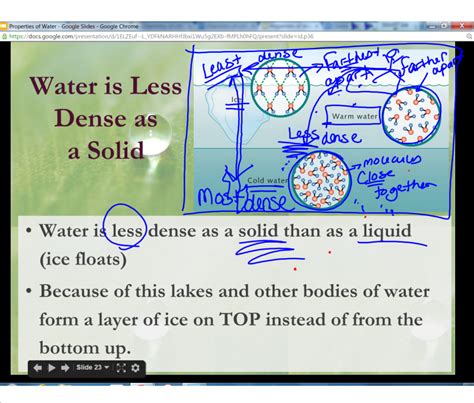 EC Biology Tuesday October Th Density Of Water