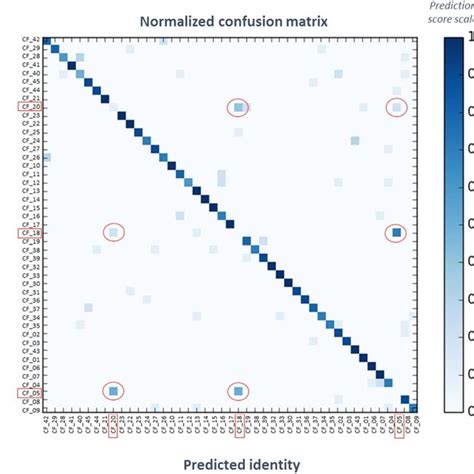 Confusion Matrix For Random Forest Classification Of 45 P Aeruginosa Download Scientific