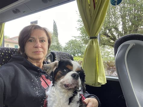 Cbff6031 D04 D 4 B44 A8 D7 Beccbccf1168 — Postimages