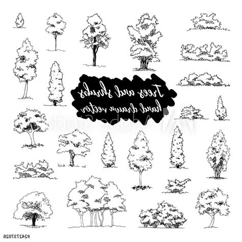 Architecture Tree Vector At Vectorified Com Collection Of Architecture Tree Vector Free For