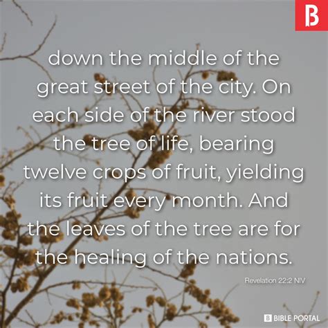 What Does The Bible Say About Trees