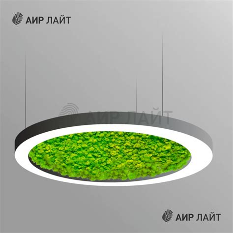 Светильник круг лайт с кольцом и мхом - AIR Light