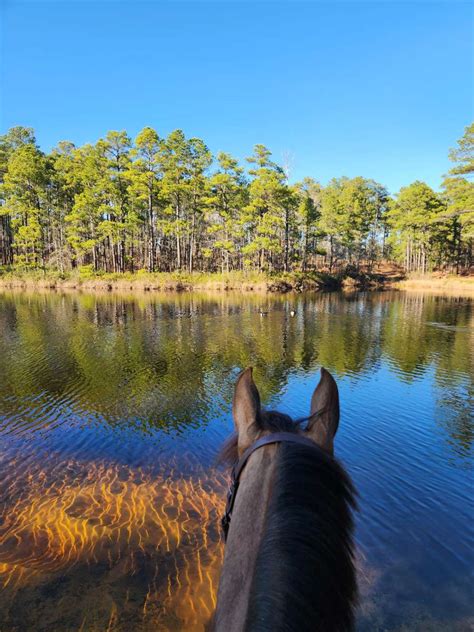 Foundation Rv Camping Horse Hotel Hipcamp In Vass North Carolina