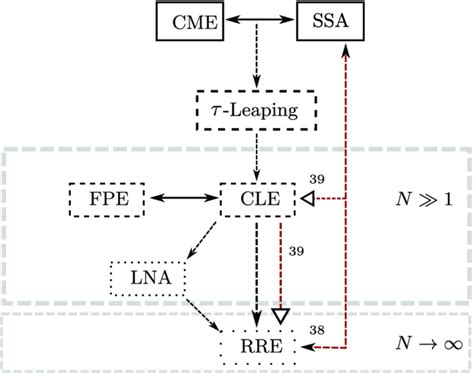 Schematic Of The Modeling Hierarchy For Biochemical Systems The Black