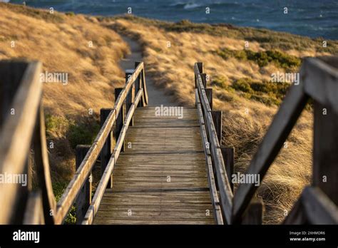 Wooden Coastal Steps To The Beach Through Golden Coastal Grass Stock