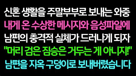 실화사연 신혼 생활을 주말부부로 보내는 와중 내게 온 수상한 메시지와 음성파일에 남편의 충격적 실체가 드러나게 되자 남편을 지옥 구덩이로 보내버렸습니다ㅣ라디오드라마ㅣ사이