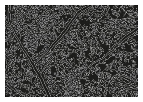 Comparison Of Edge Extraction Results Under Different Orders Laplacian Download Scientific