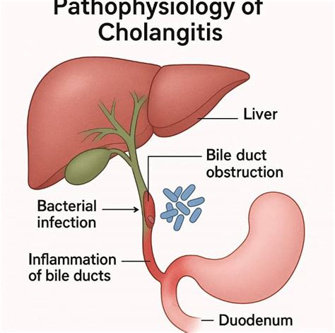 Science Of Medicine Added A New Photo Science Of Medicine