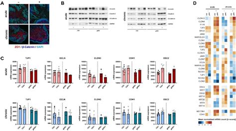 Figure 1 From Abstracts Dgkch Semantic Scholar