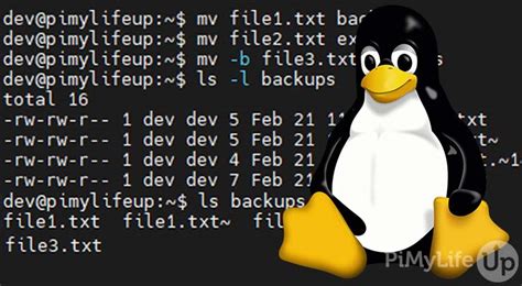 How To Use The Mv Command Pi My Life Up